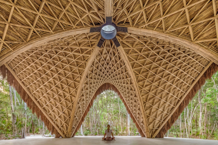 How to Use Bamboo as an Eco-Friendly Construction Material?