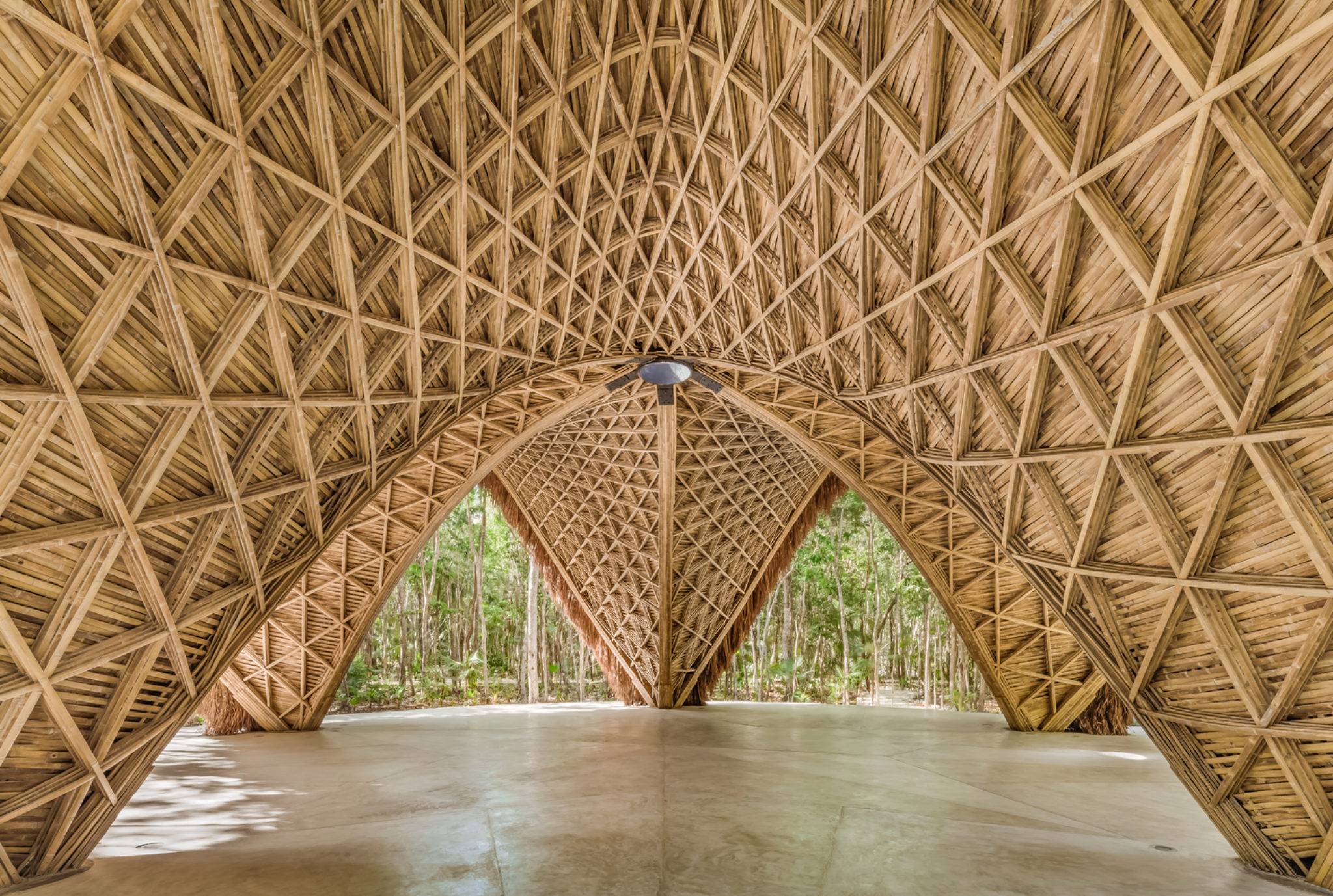 Why Bamboo Is a Lot More Versatile, and Durable Than You Ever Realized ...