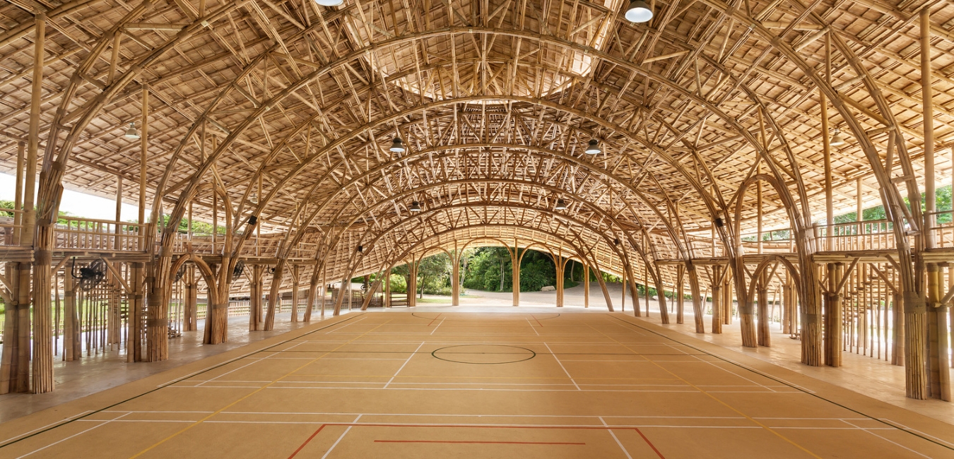 How to Use Bamboo as an Eco-Friendly Construction Material?