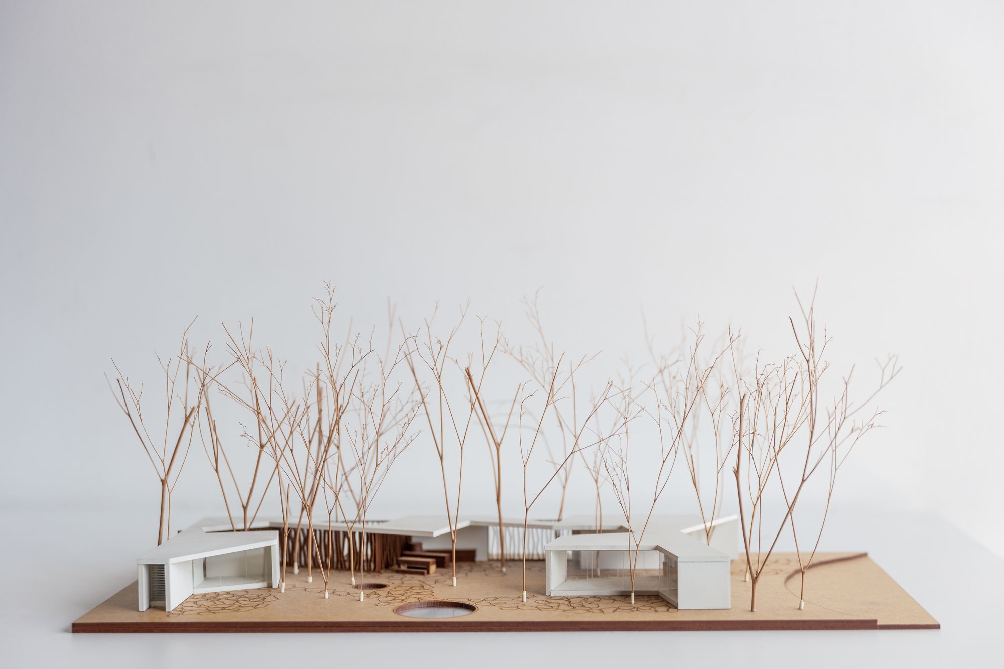 Terra House | TETRO Arquitetura - Arch2O.com