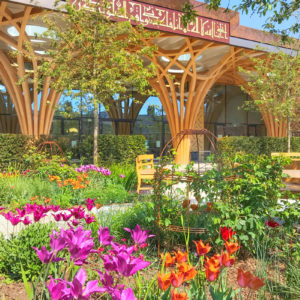 Cambridge Mosque | Marks Barfield Architects