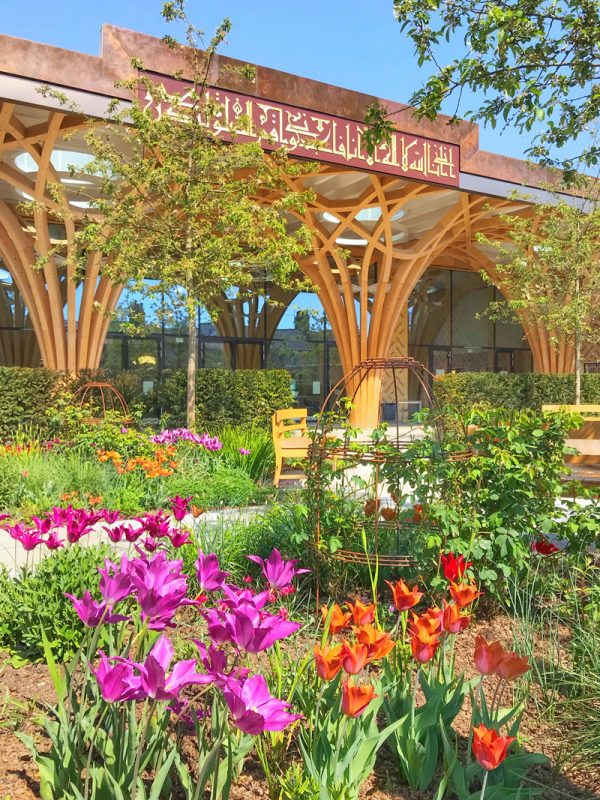 Cambridge Mosque | Marks Barfield Architects