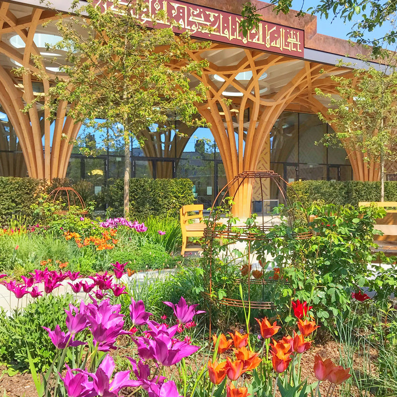 Cambridge Mosque | Marks Barfield Architects