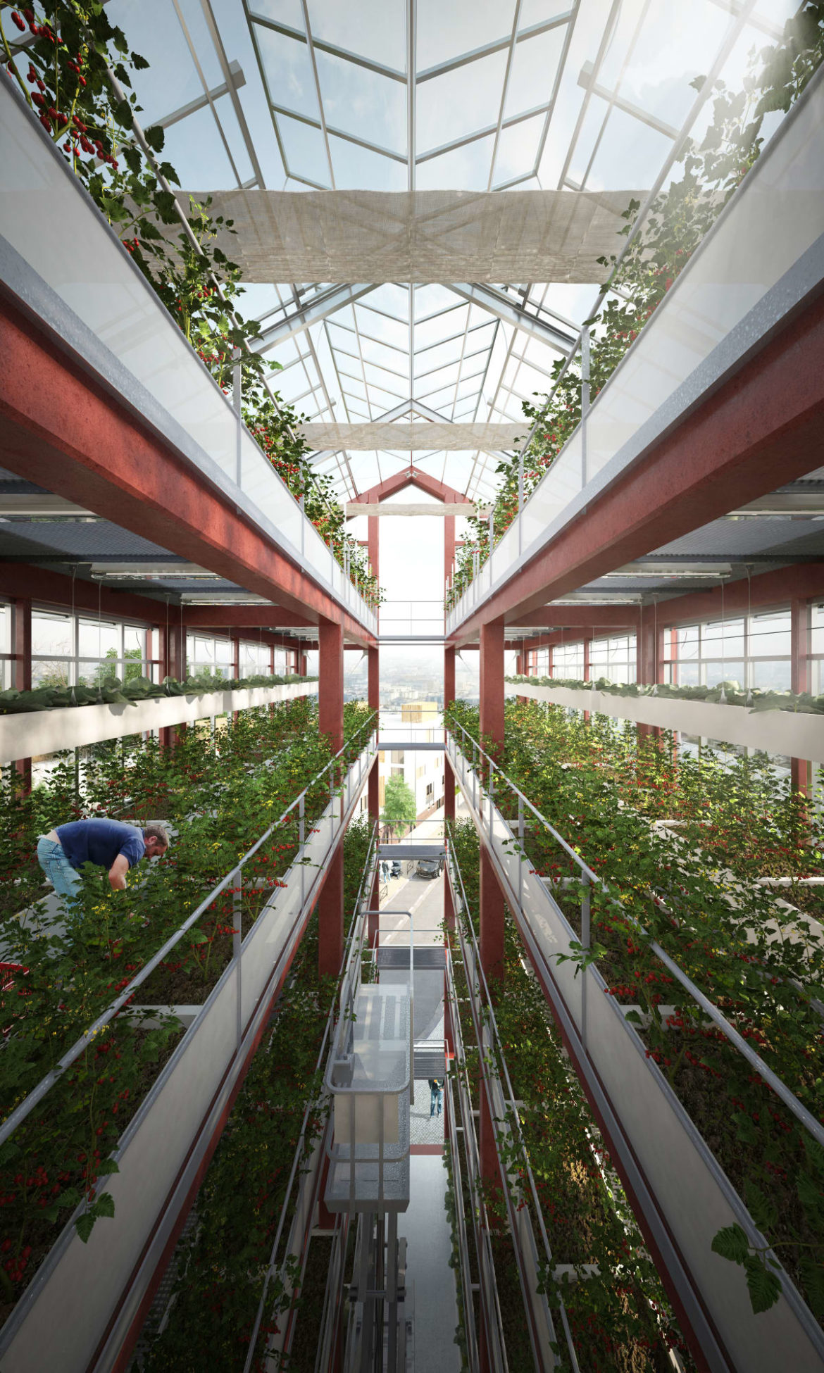 How to Design a Greenhouse Like a Master? 7 Simple Steps – Arch2O.com