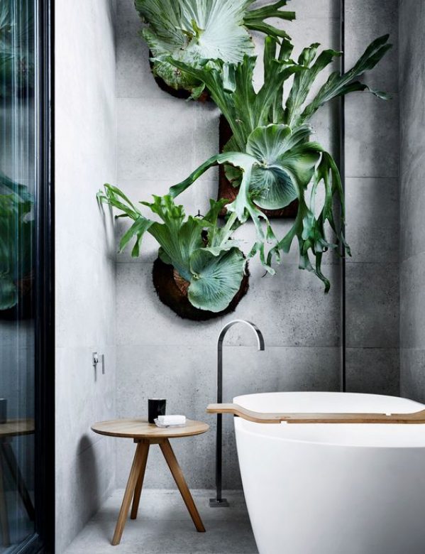 15 Calming Shower Plants to Transform Your Bathroom! - Arch2O.com