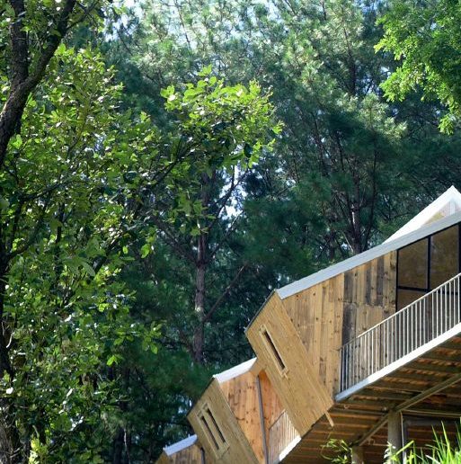 Ta Nung Homestay Executive Office | MyAn Architects - Arch2O.com