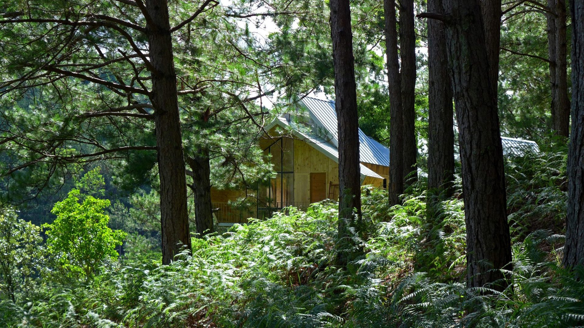 Ta Nung Homestay Executive Office | MyAn Architects – Arch2O.com