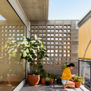 Terrace House | Austin Maynard Architects - Arch2O.com