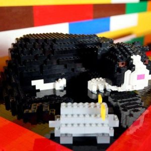 World's first Lego house - Arch2O.com