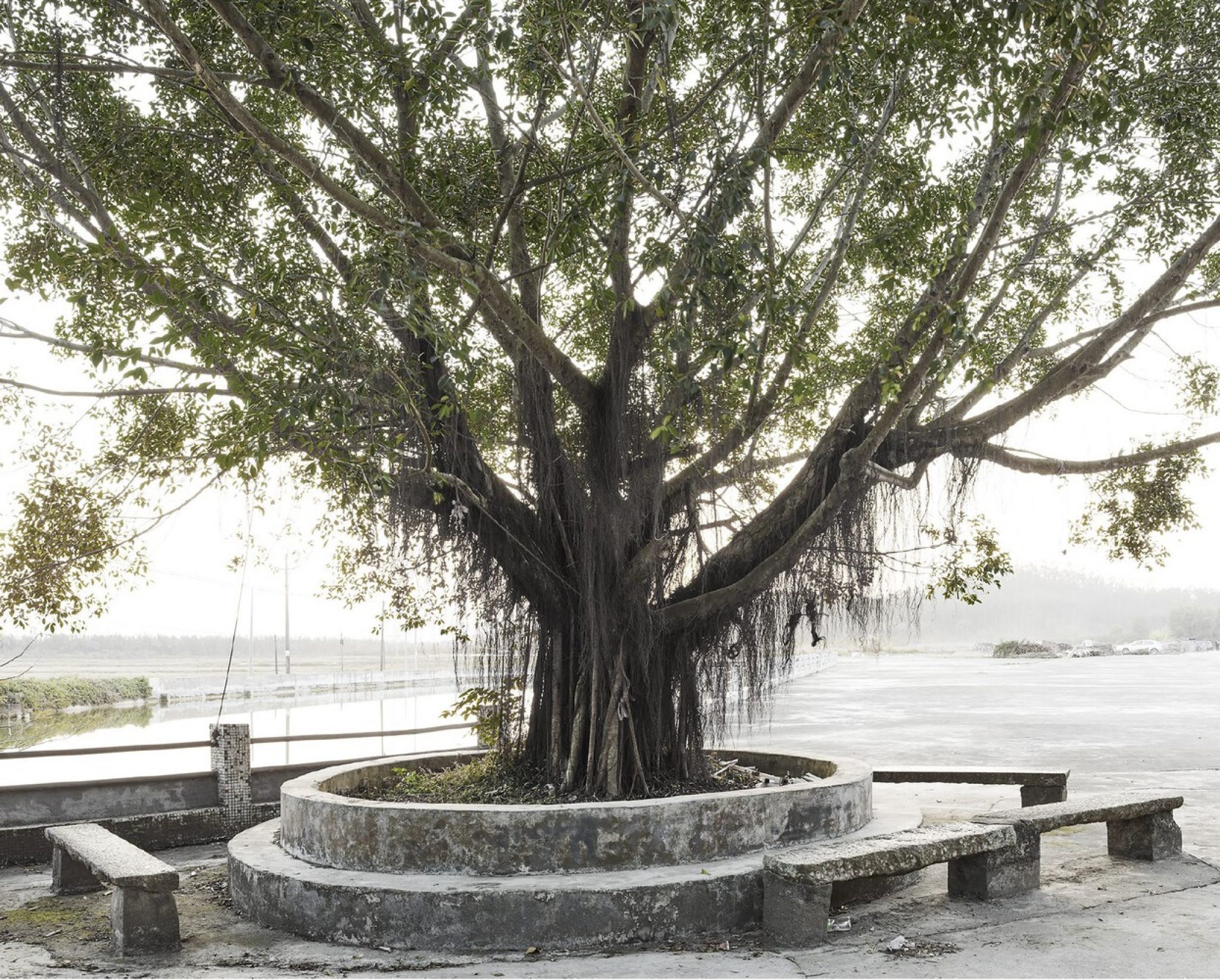 In Honor of the 1871 Chinese Massacre, Los Angeles Unveils the Six ...