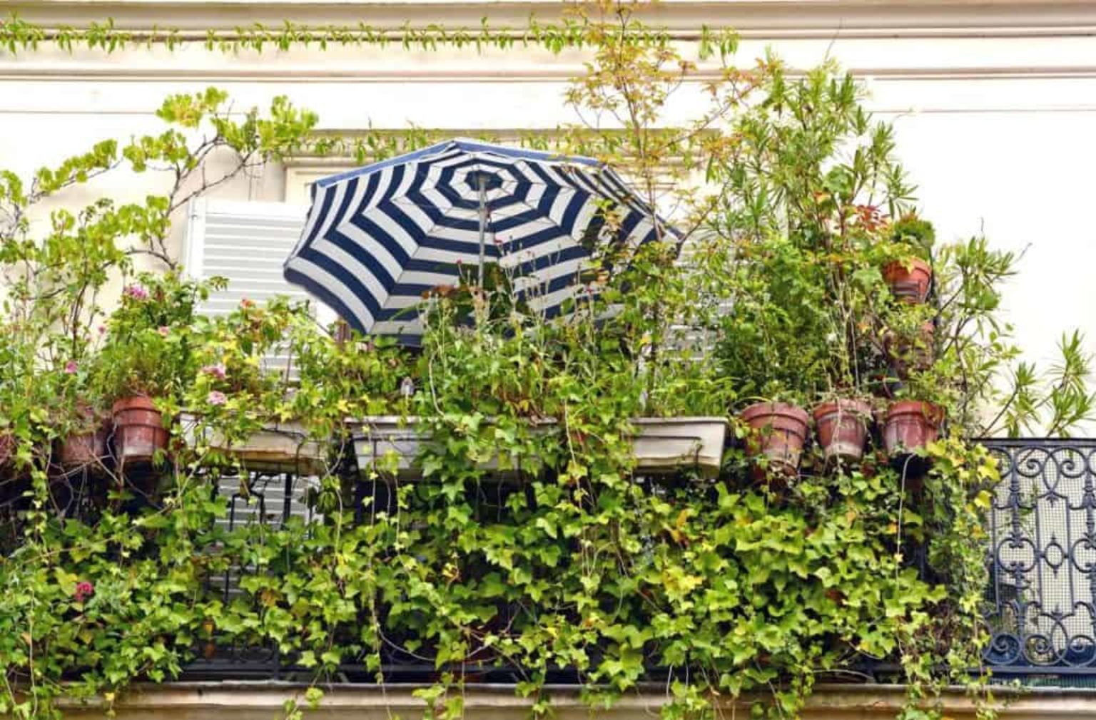 Balcony Privacy Ideas for 2023 – 25 Staggering Designs to Have the Best ...