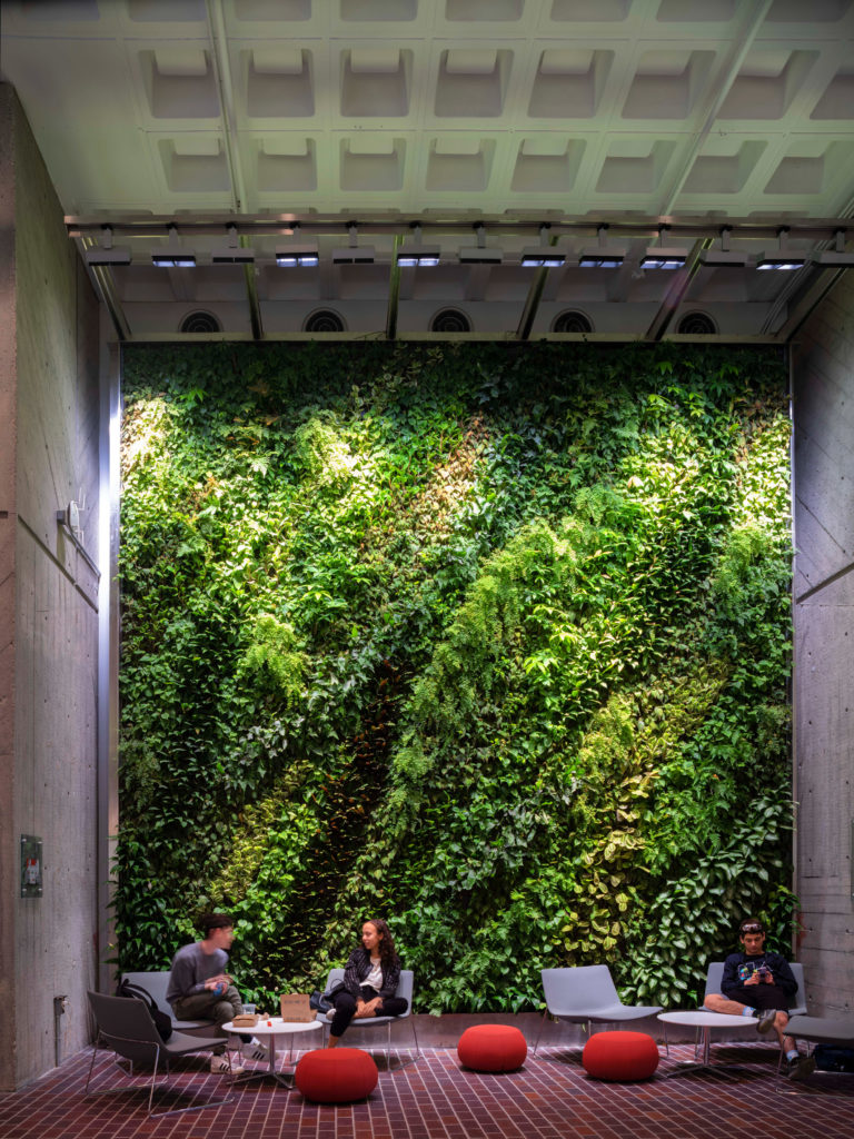 What is Waffle Ceiling and Why Should You Care? - Arch2O.com