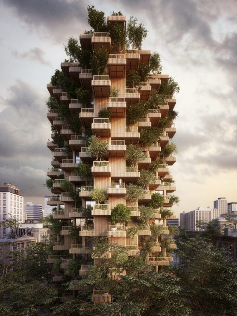 Top 12 Timber Towers Proving Mass Timber’s Future as a Construction ...