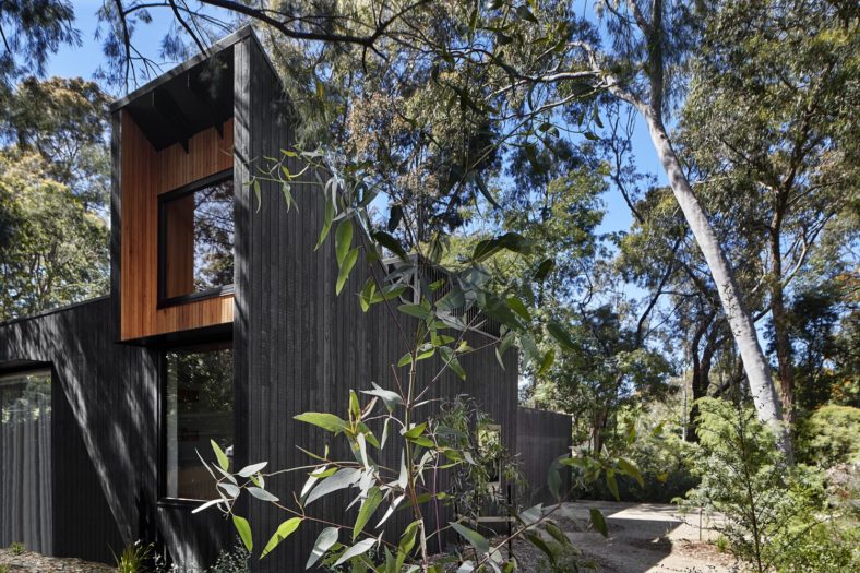 Bellbird House l Bower Architecture - Arch2O.com