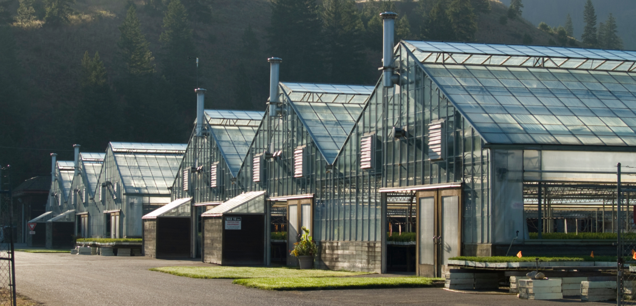 Greenhouses: Shared Spaces for Nature's Bounty and Human Ingenuity ...