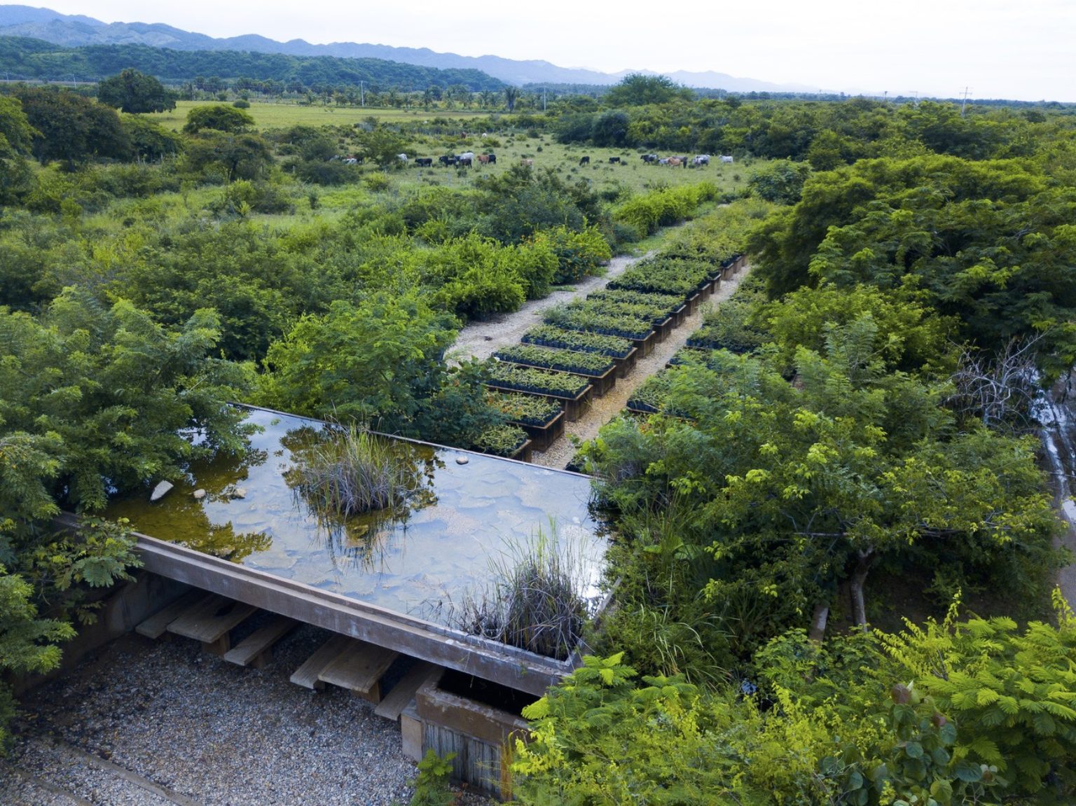 Past Meets Present: The Enduring Charms of Roman Architecture in Modern ...