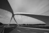 Chengdu West First Bridge Blossoms: A Triumph by Zaha Hadid Architects ...