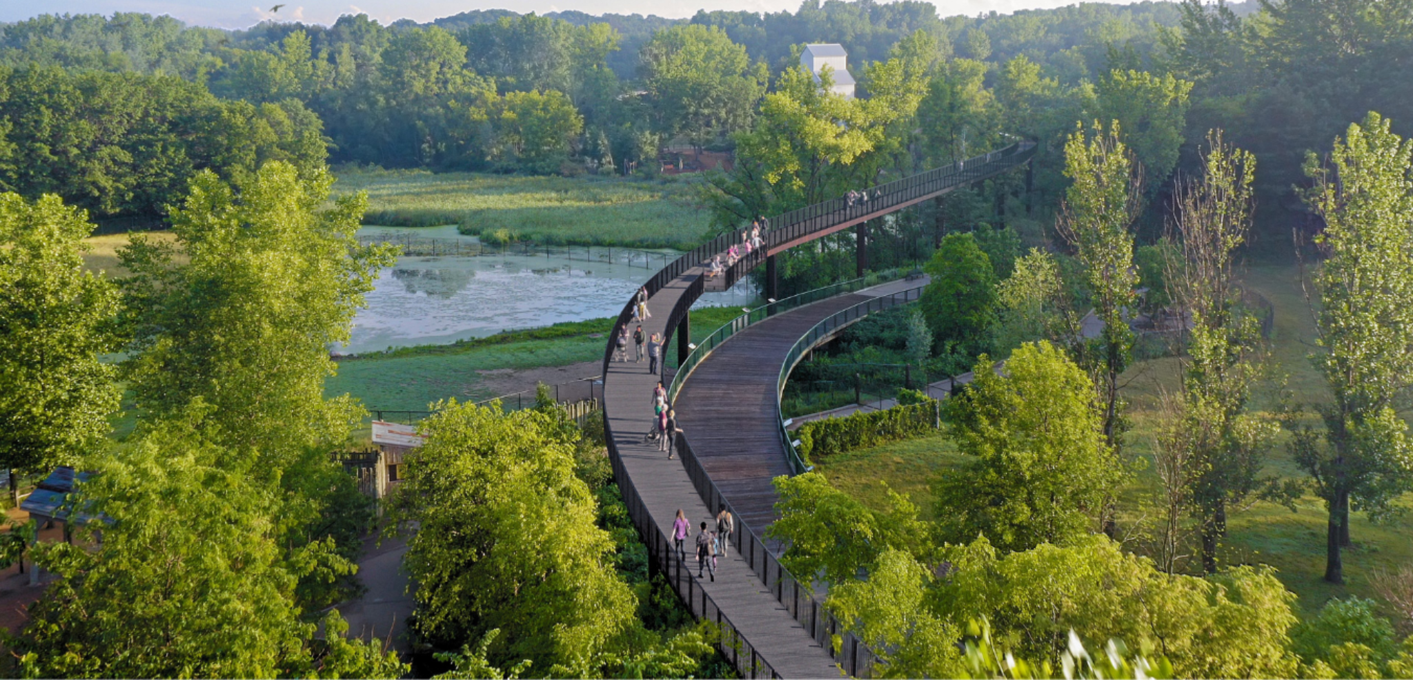 Minnesota Zoo Celebrates Milestone: Treetop Trail Opens as the World's ...