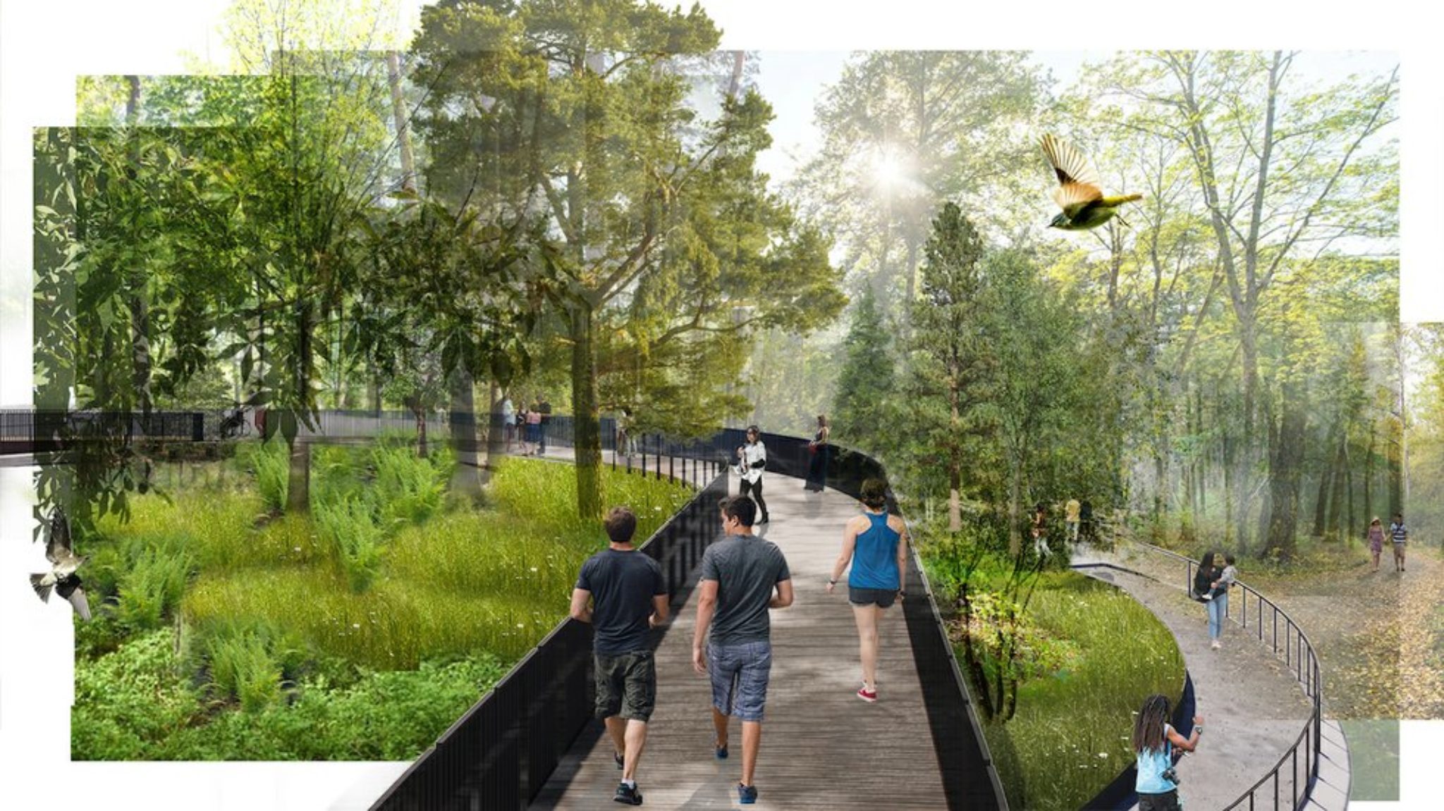 Minnesota Zoo Celebrates Milestone: Treetop Trail Opens as the World's ...