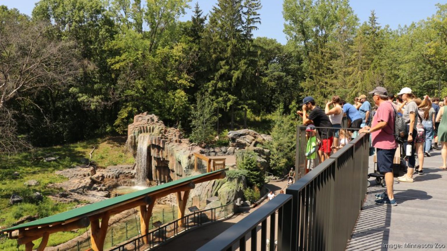 Minnesota Zoo Celebrates Milestone: Treetop Trail Opens as the World's ...