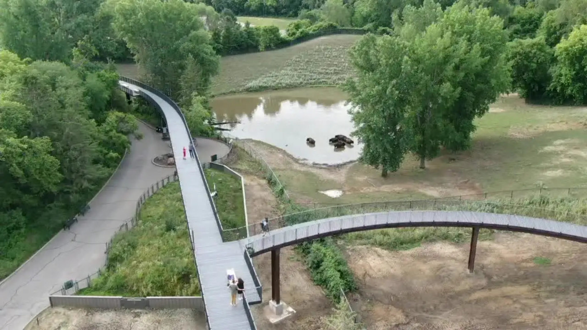 Minnesota Zoo Celebrates Milestone: Treetop Trail Opens as the World's ...