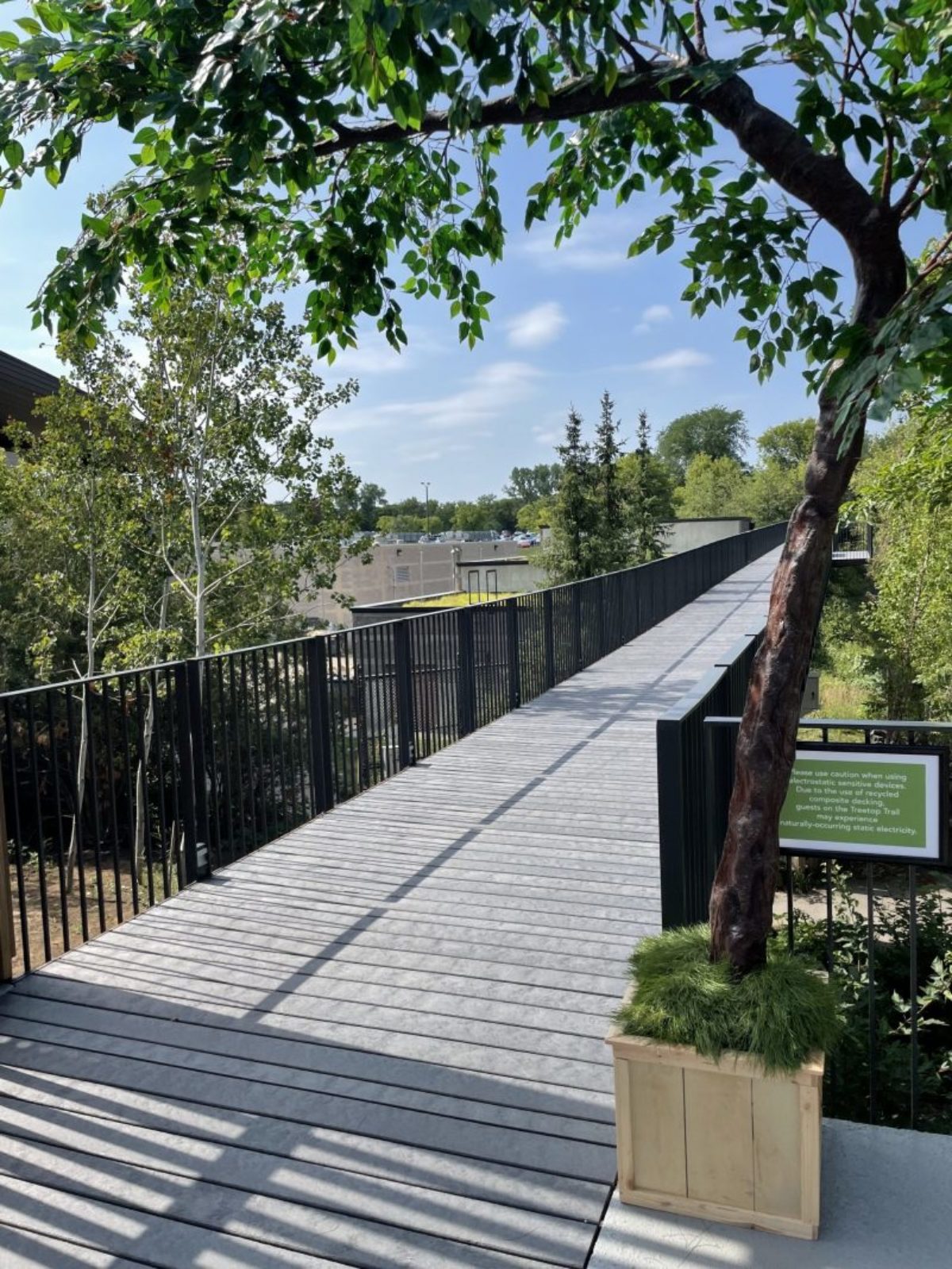 Minnesota Zoo Celebrates Milestone: Treetop Trail Opens as the World's ...