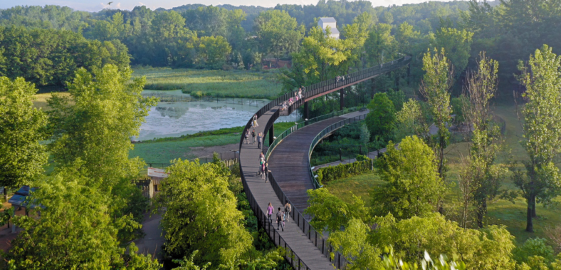 Minnesota Zoo Celebrates Milestone: Treetop Trail Opens as the World's ...