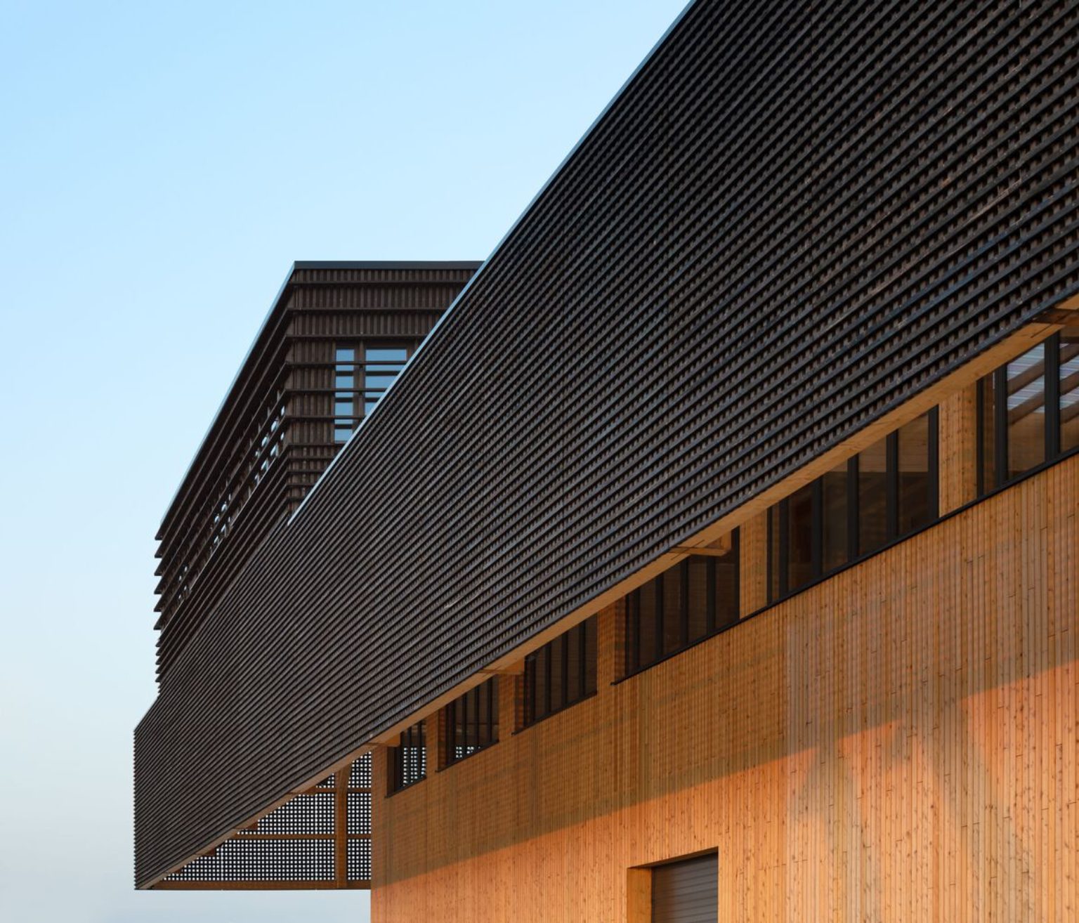 The Timber Hat Building l rundzwei Architekten - Arch2O.com
