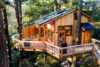 12 Tree House Expert Tips for Your Dream Hideaway - Arch2O.com