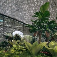 Bayfront (The Future of Us) Pavilion | SUTD Advanced Architecture ...