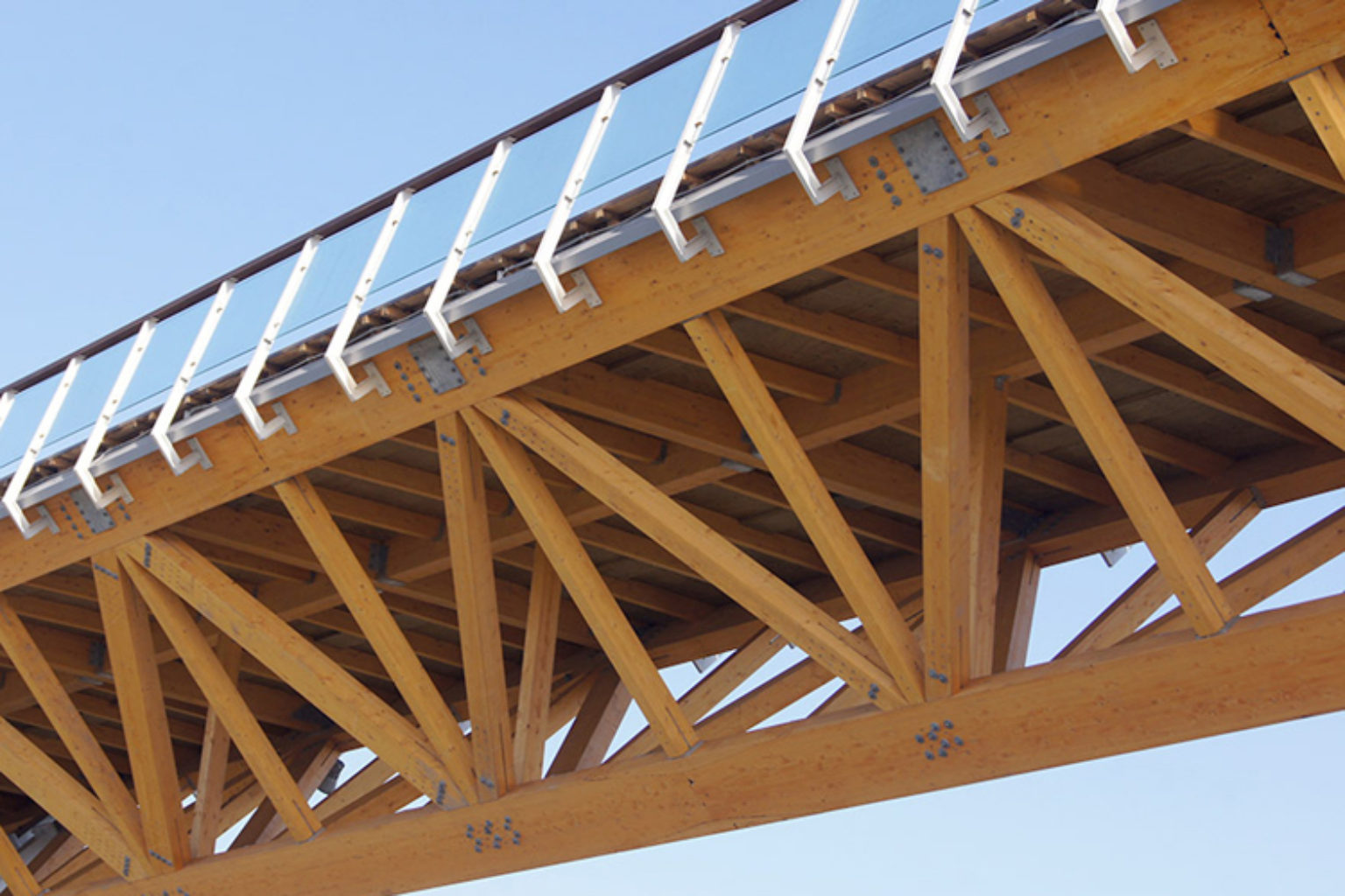 Prospects of Sustainable Wood Buildings: The Eco-Conscious Construction ...
