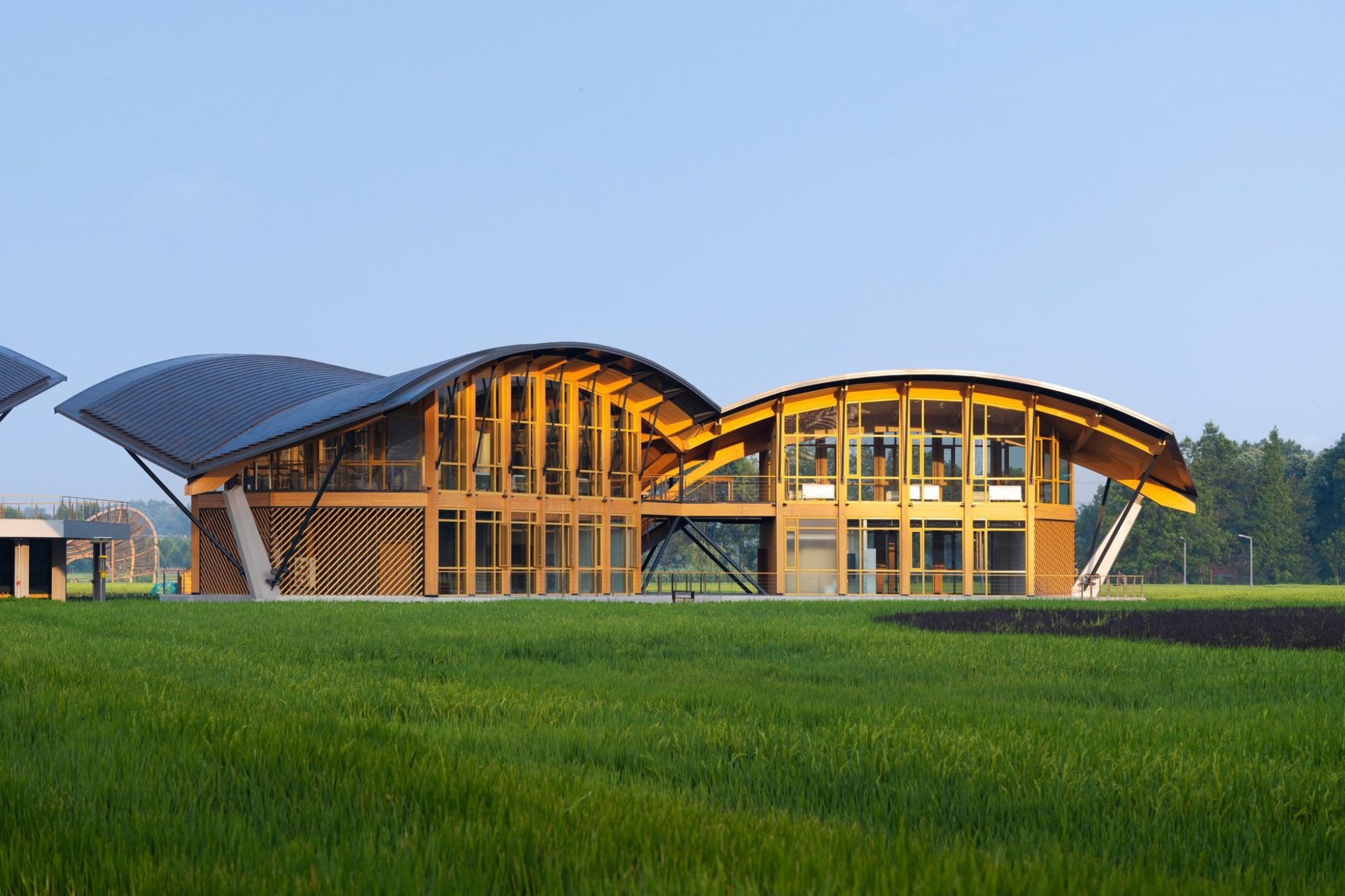 Green Seedling Project in Tianfu Agricultural Expo Garden | CSWADI ...