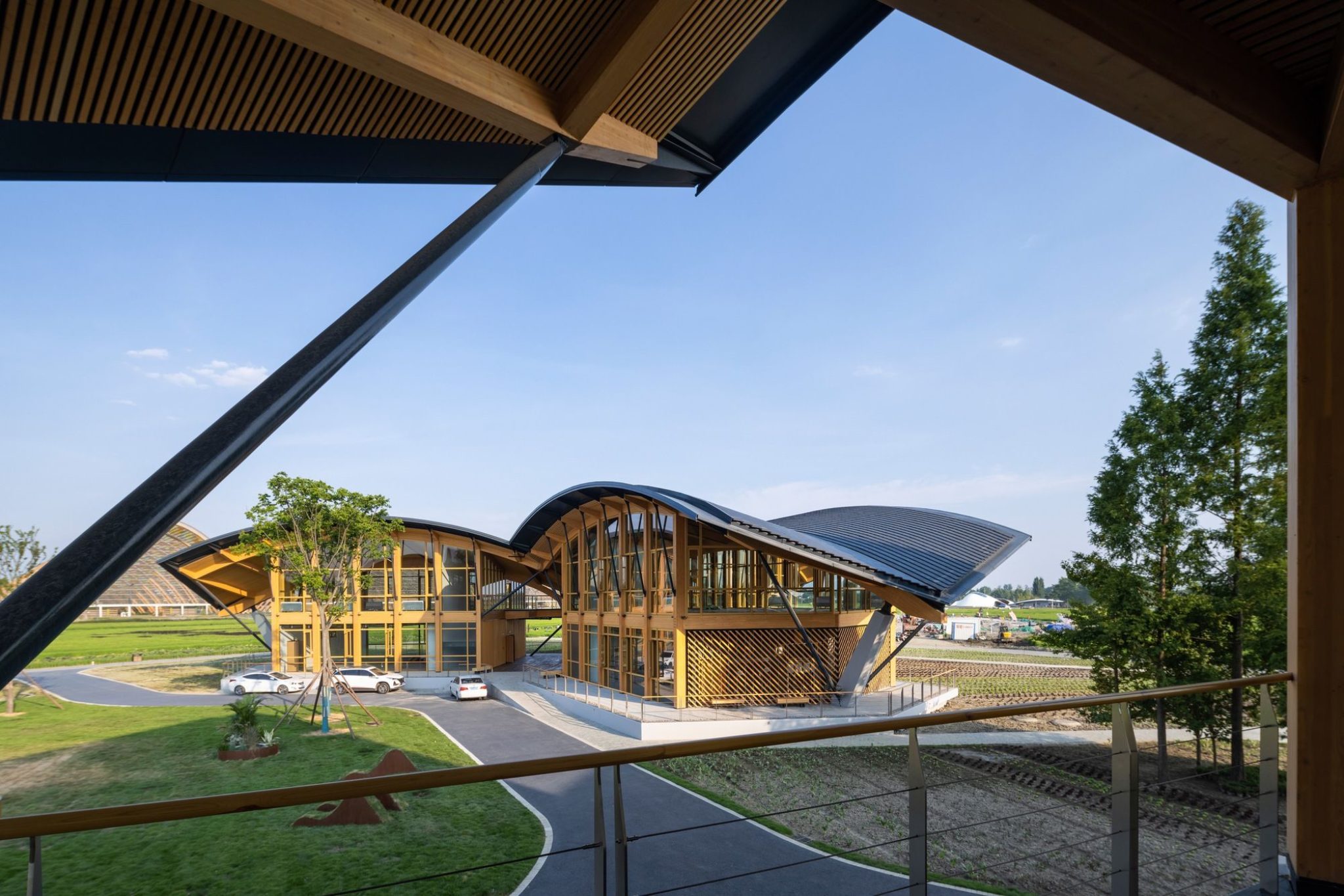 Green Seedling Project in Tianfu Agricultural Expo Garden | CSWADI ...