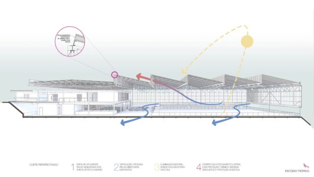 The Blueprint to Perfect Sports Arena: How to Create Top-Notch Sports ...