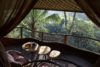 Tree House at Bambu Indah | IBUKU - Arch2O.com