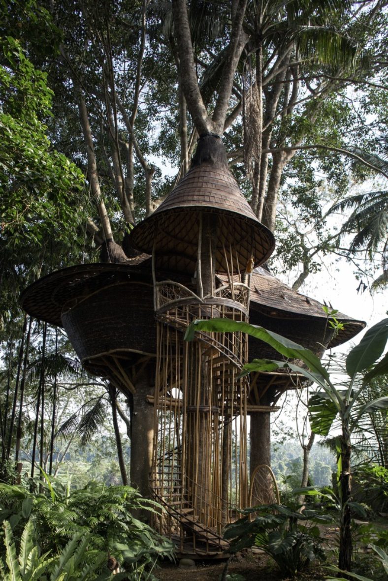 Tree House at Bambu Indah | IBUKU - Arch2O.com