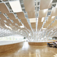 Bringing The Outdoors In: Creating Dynamic Spaces With Natural Lighting ...