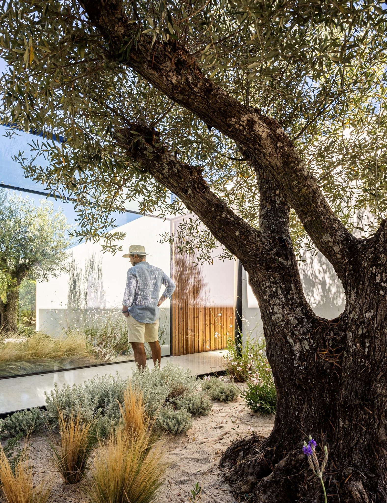 Comporta 107 House | dEMM Arquitectura – Arch2O.com