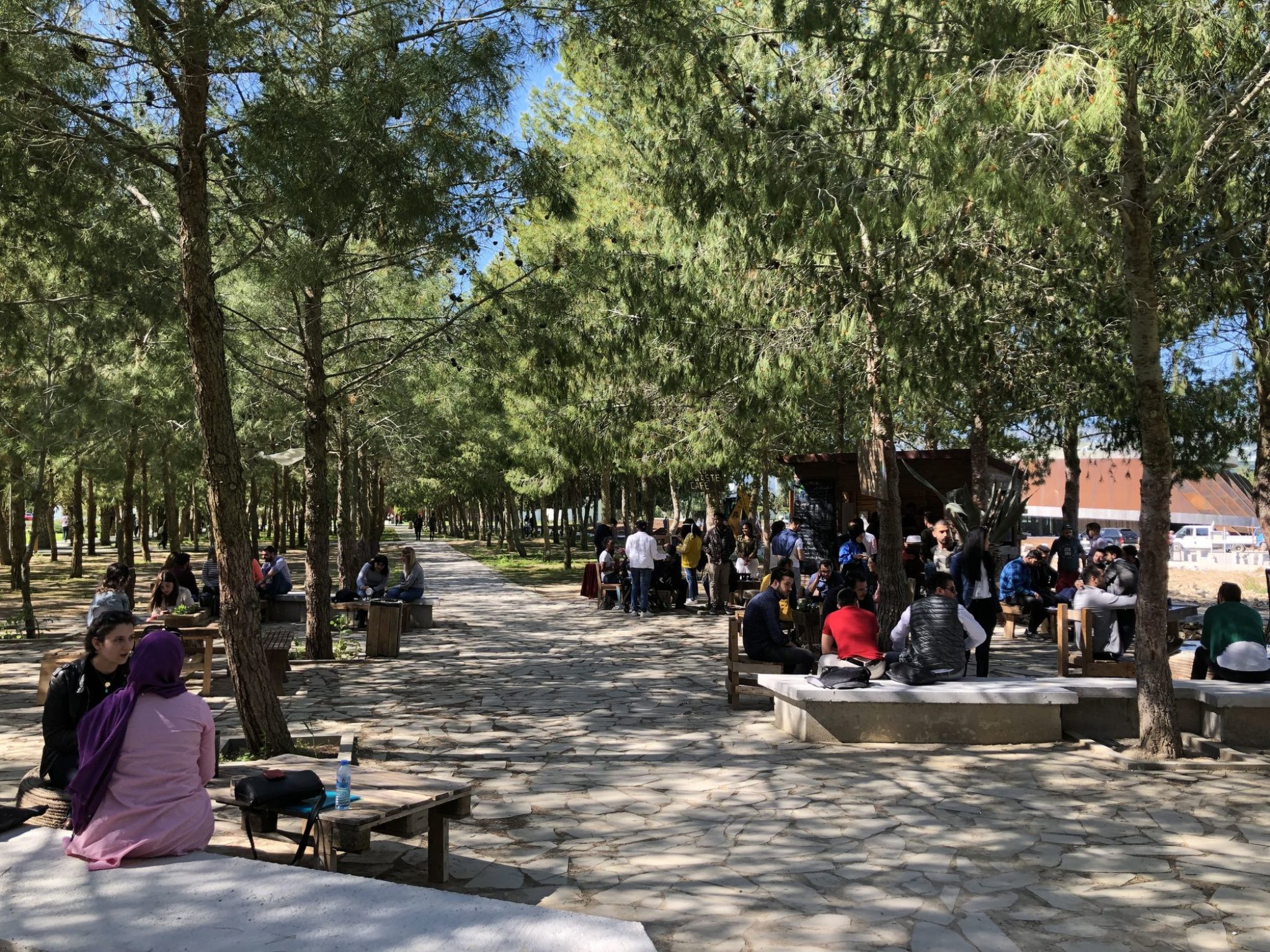 Cyprus International University Masterplan | Arup - Arch2O.com