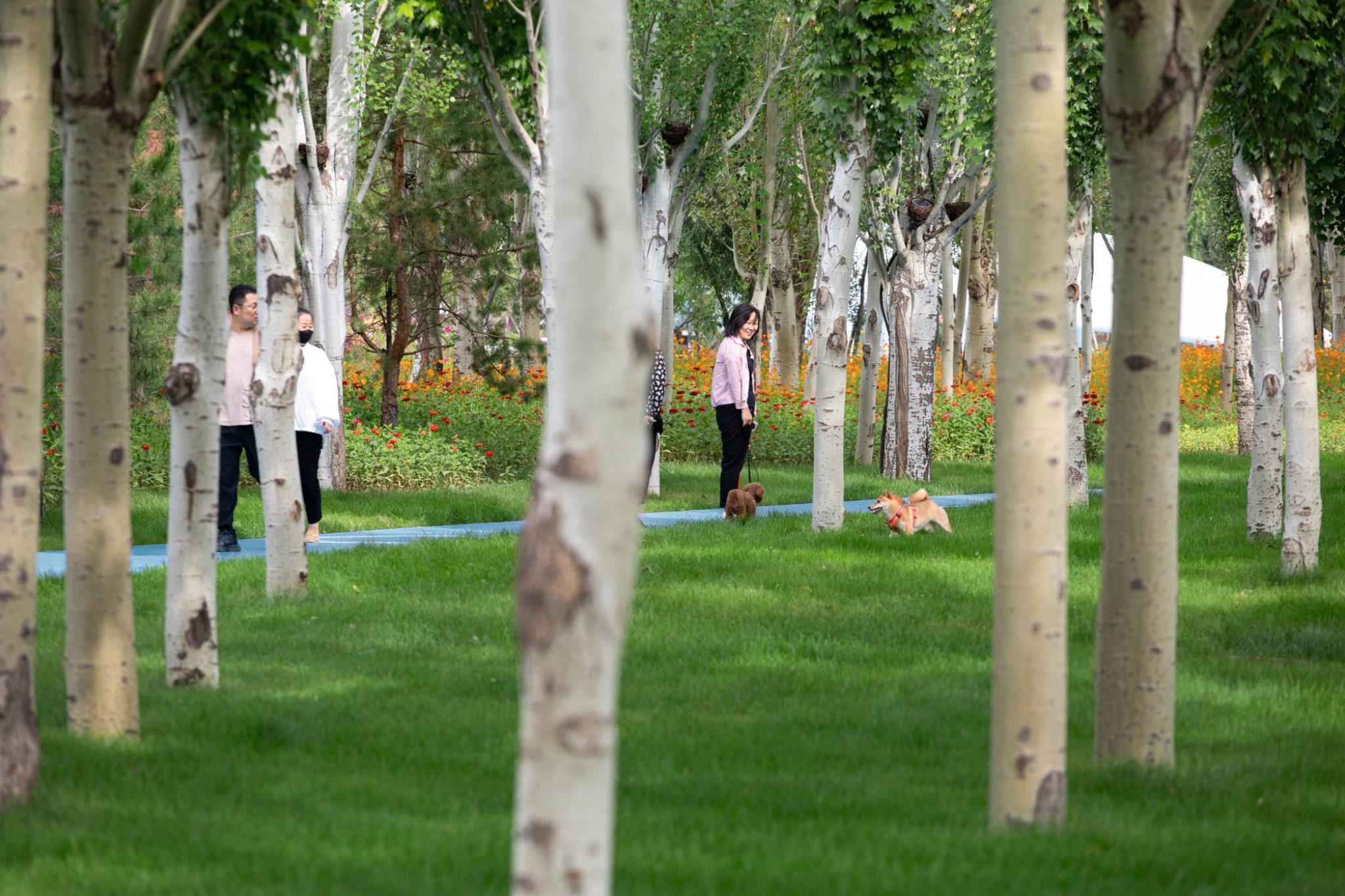 Ordos Smart Sports Park | PLAT ASIA - Arch2O.com