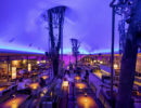 Stalk Tree-hugger Bar | RAD+ar (Research Artistic Design + architecture ...