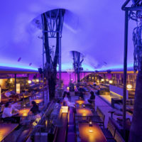 Stalk Tree-hugger Bar | RAD+ar (Research Artistic Design + architecture ...