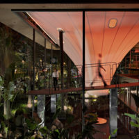 Stalk Tree-hugger Bar | RAD+ar (Research Artistic Design + architecture ...