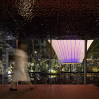 Stalk Tree-hugger Bar | RAD+ar (Research Artistic Design + architecture) - Arch2O.com