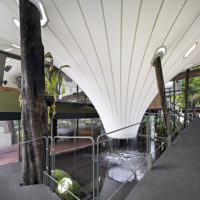 Stalk Tree-hugger Bar | RAD+ar (Research Artistic Design + architecture) - Arch2O.com