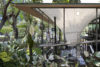 Stalk Tree-hugger Bar | RAD+ar (Research Artistic Design + architecture ...