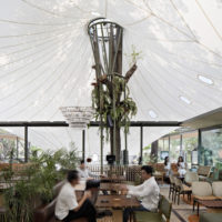 Stalk Tree-hugger Bar | RAD+ar (Research Artistic Design + architecture ...