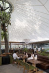 Stalk Tree-hugger Bar | RAD+ar (Research Artistic Design + architecture ...