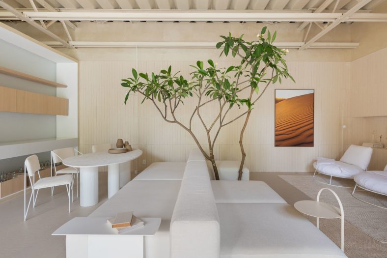 Natural Lighting By Sunlit Spaces How to Make Your Apartment More ...