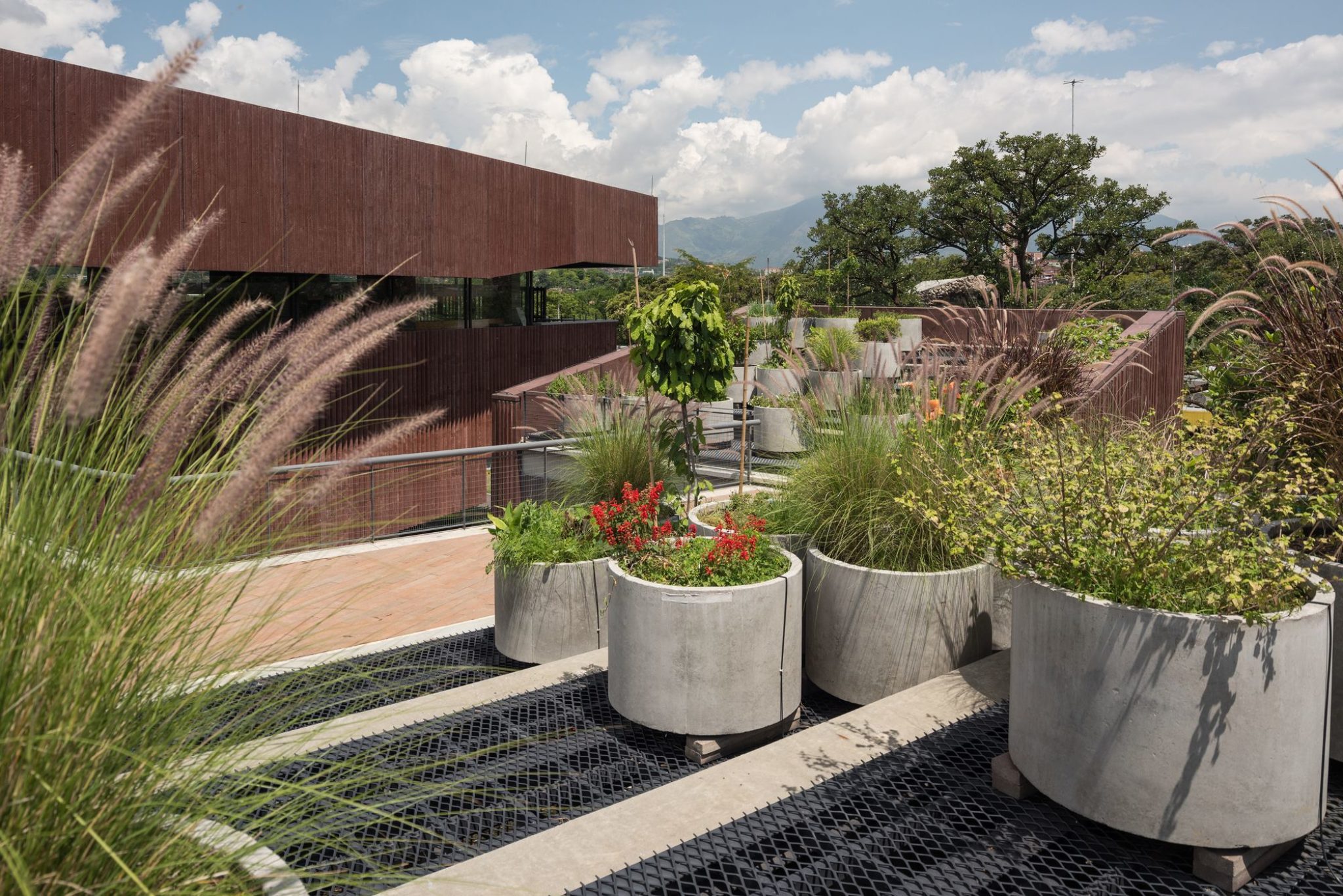 MOVA Teacher Innovation Center | OPUS - Arch2O.com